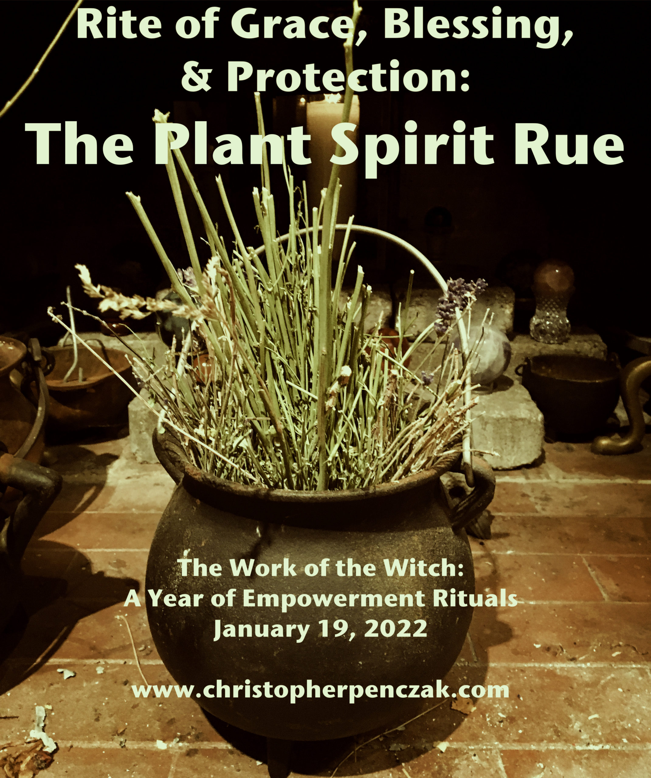 Rite of Grace, Blessing, and Protection: The Plant Spirit Rue ...